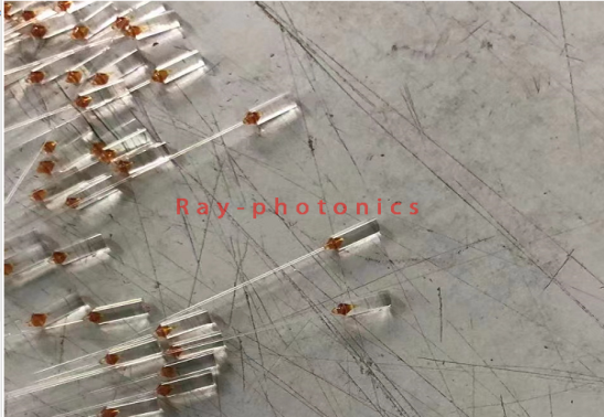 Pigtail-Ray-photonics